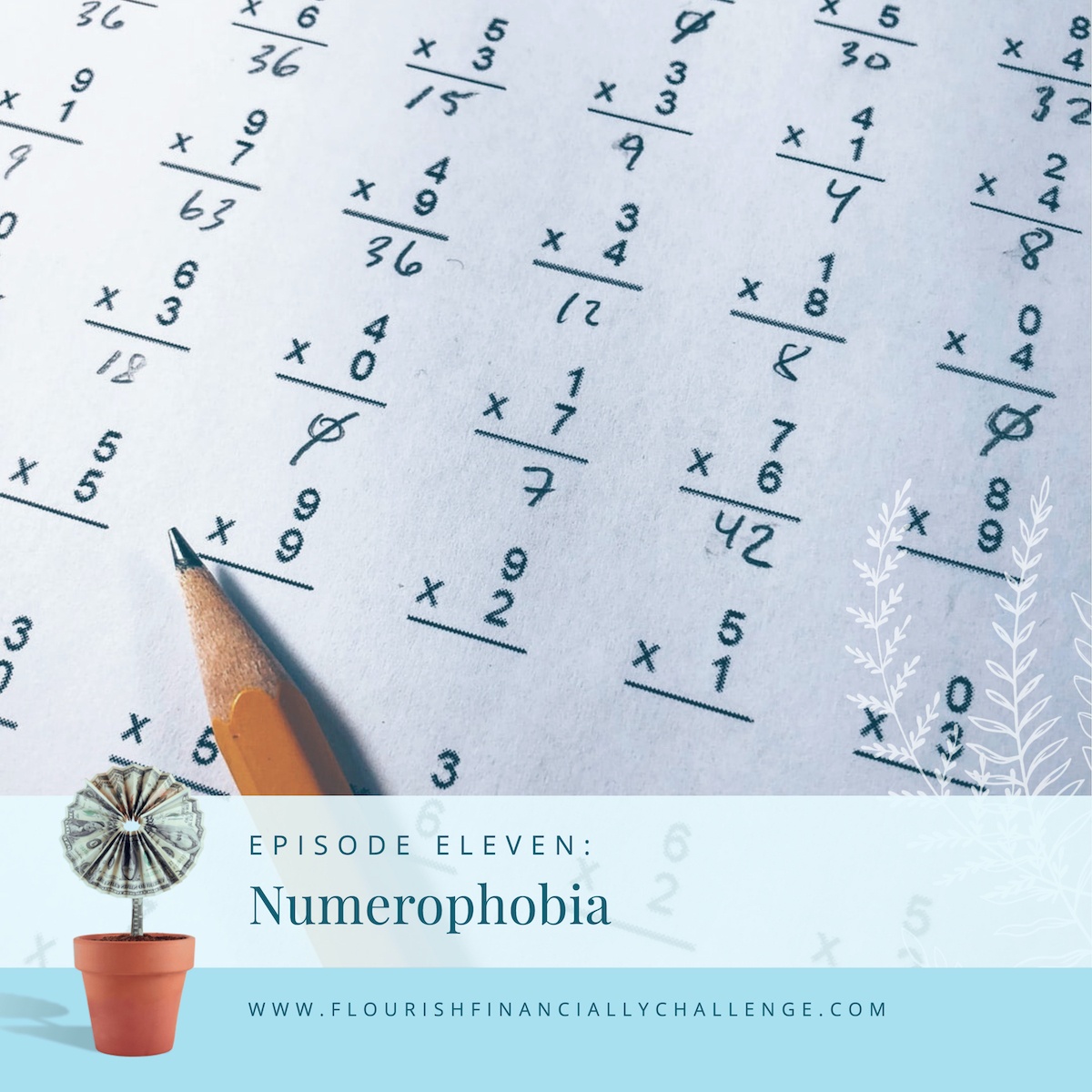Numerophobia - Flourish Financially Challenge